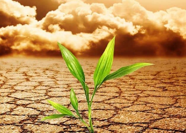 Factores climáticos y ambientales - Arquitectura Pura