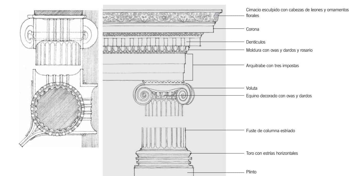 El orden jónico y sus Característica - Arquitectura Pura